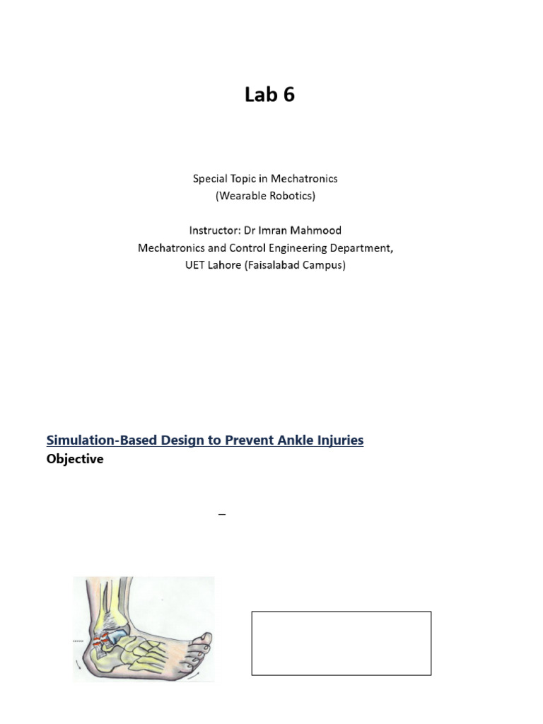 Lab 6 | PDF | Ankle | Simulation