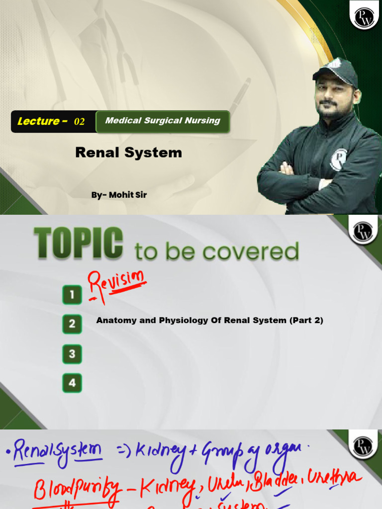 Renal System 02 Class Notes | PDF