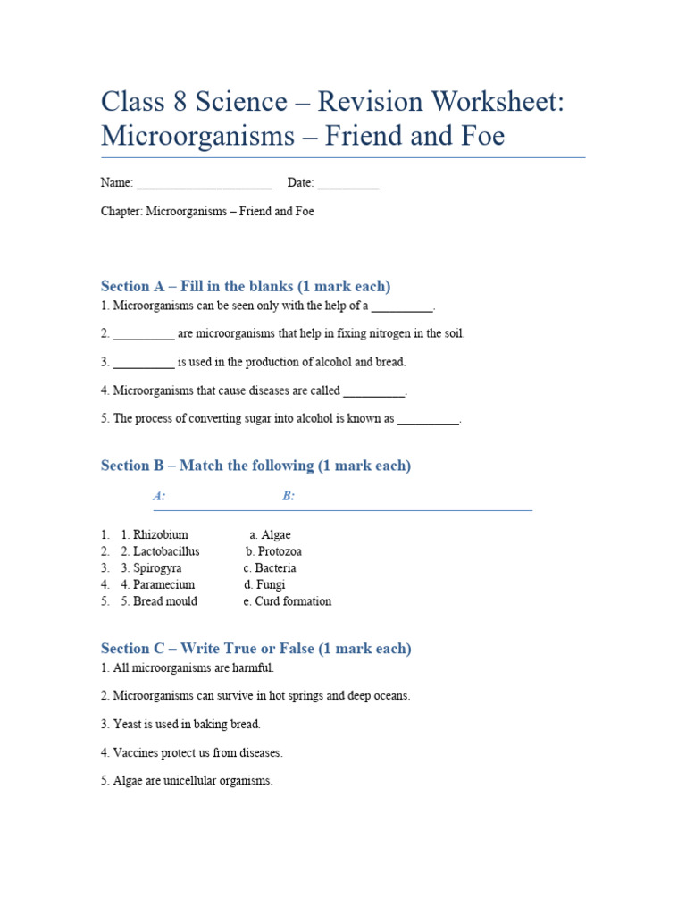 Revision Worksheet | PDF