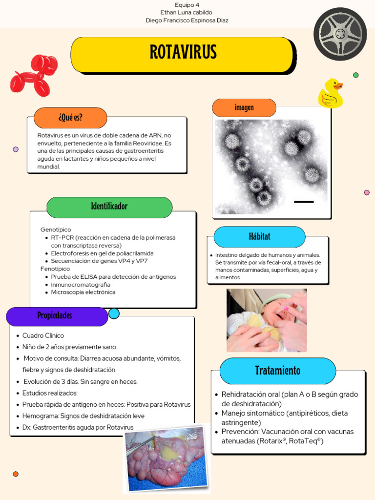 Rotavirus | PDF