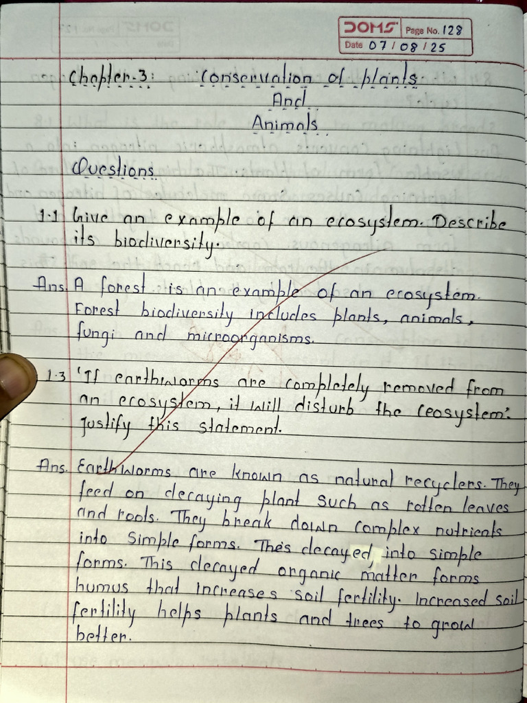 Class 11 CH 1 Physics | PDF