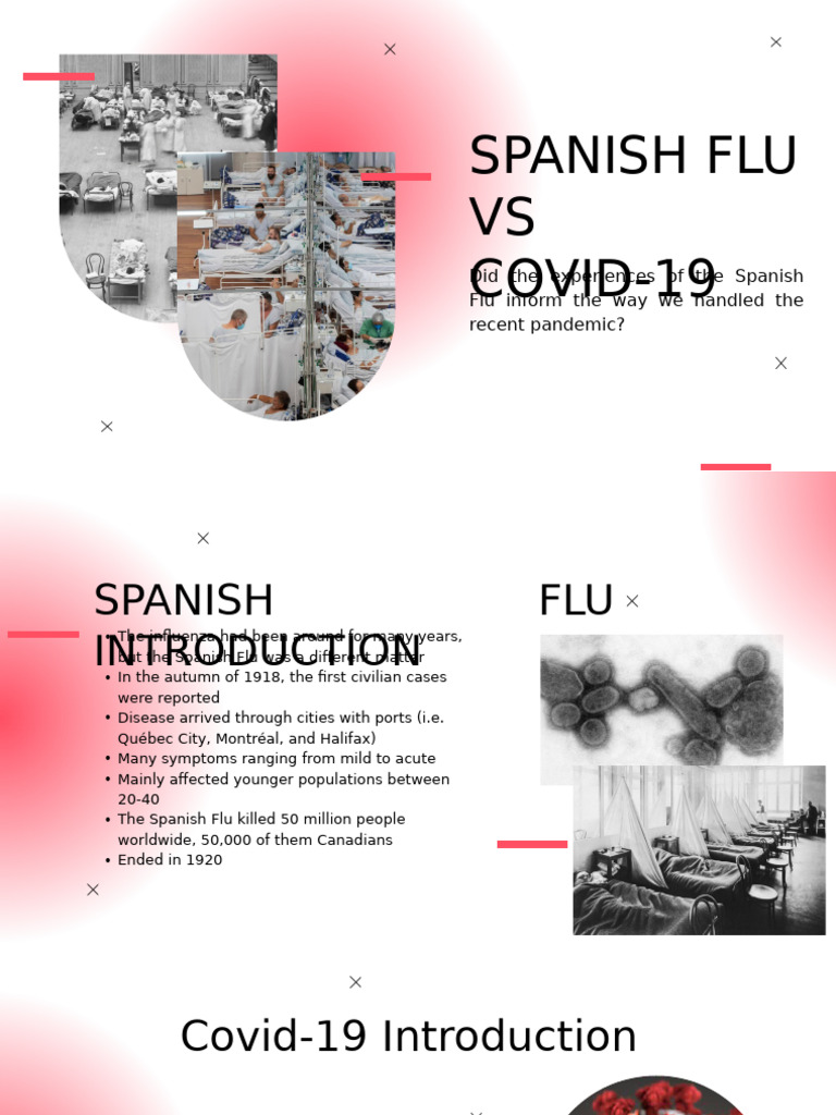 Spanish Flu Assignment | PDF | Influenza | Global Health