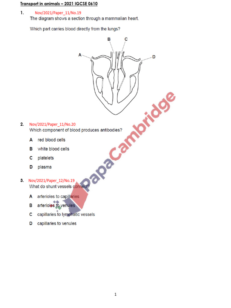Animal Transport IGCSE Past Papers | PDF