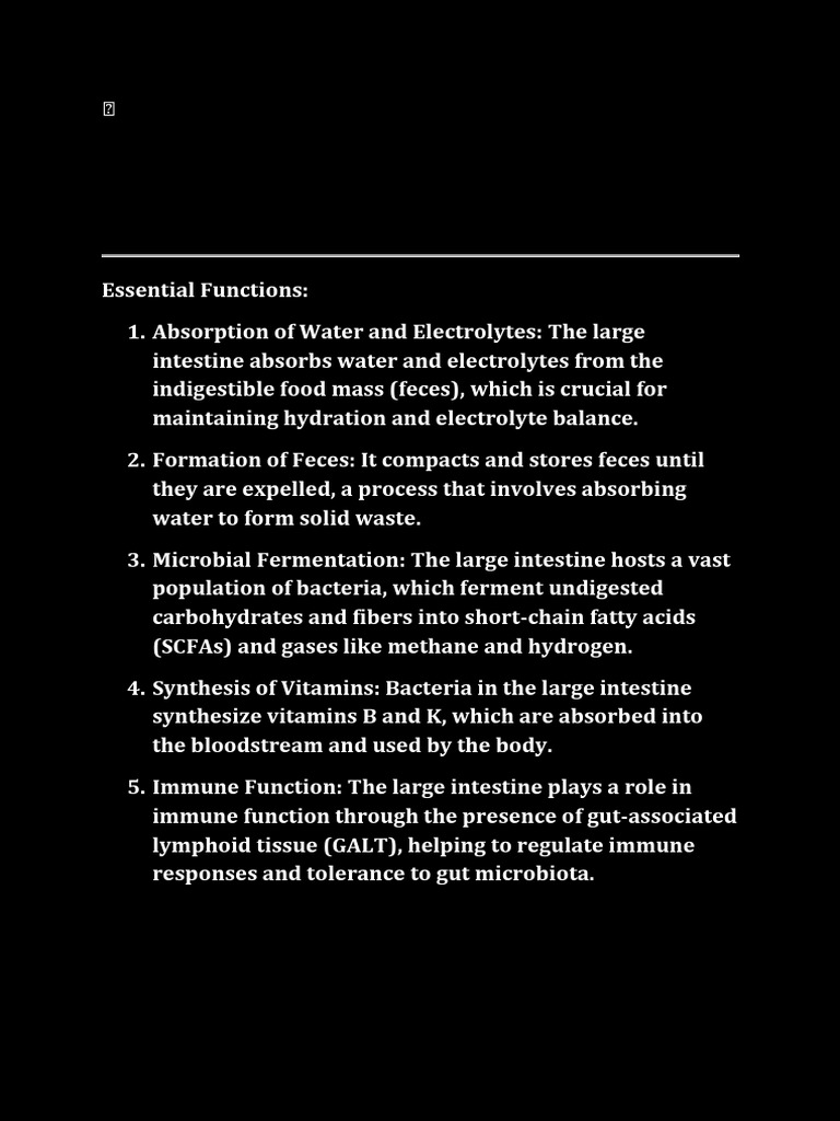 Anatomy and Functions of the Large Intestine | PDF | Large Intestine ...