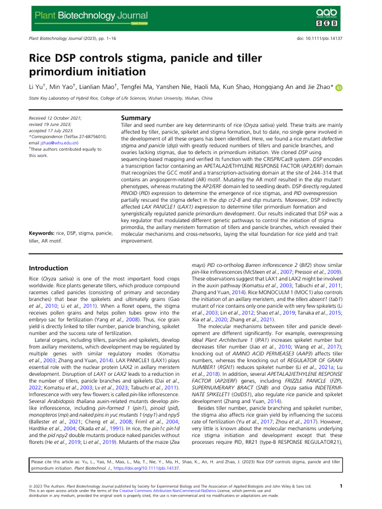 Yu 等 - 2023 - Rice DSP Controls Stigma, Panicle and Tiller Primo | PDF ...