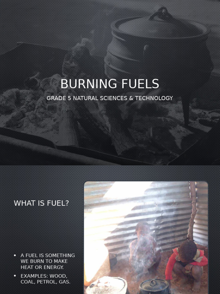 Burning_Fuels_Grade5 | PDF