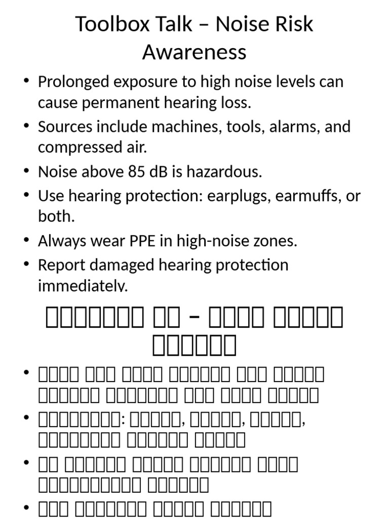 Toolbox Talk Noise Risk Awareness Multilingual | PDF