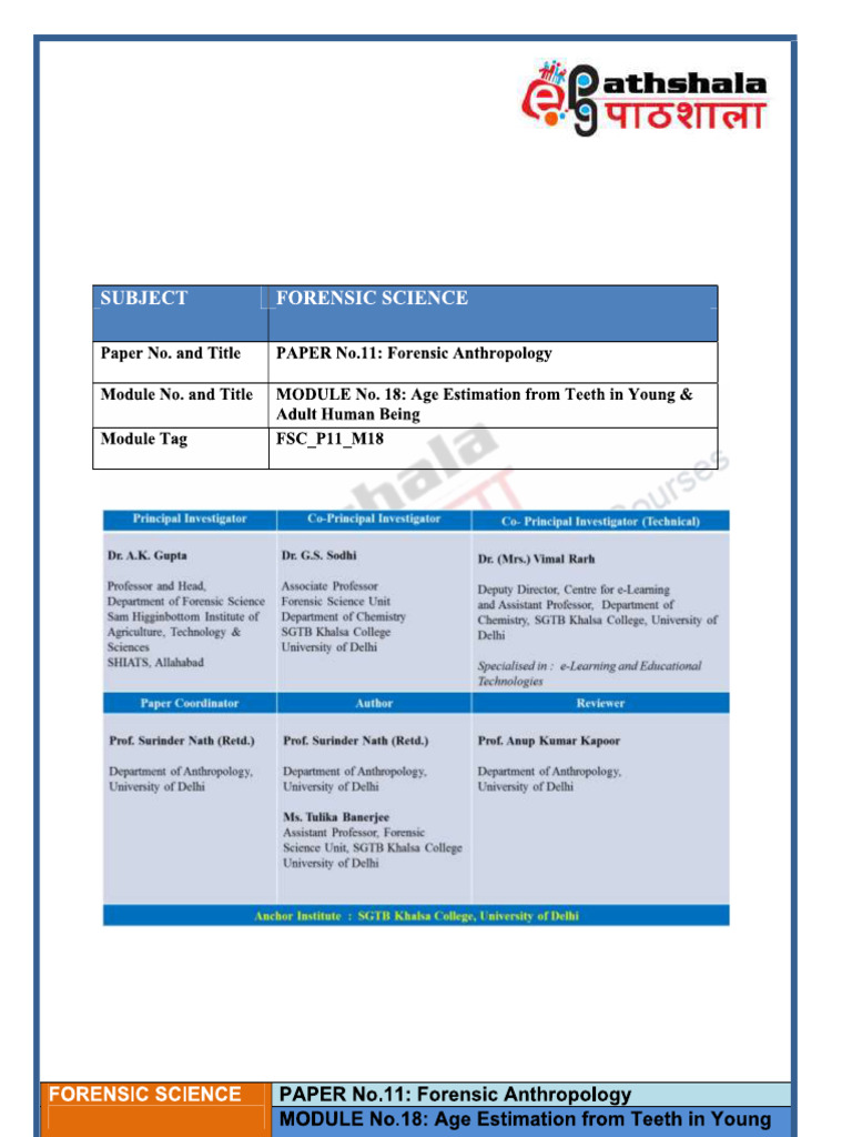 Age Estimation - Young and Adult Humans | PDF