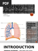 Grade 11 Gaseous Exchange Overview | PDF
