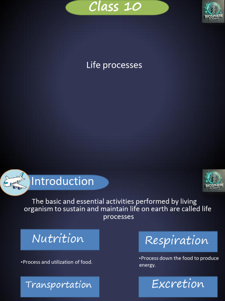 Class 10 Life Processes-1 | PDF | Stomach | Digestion
