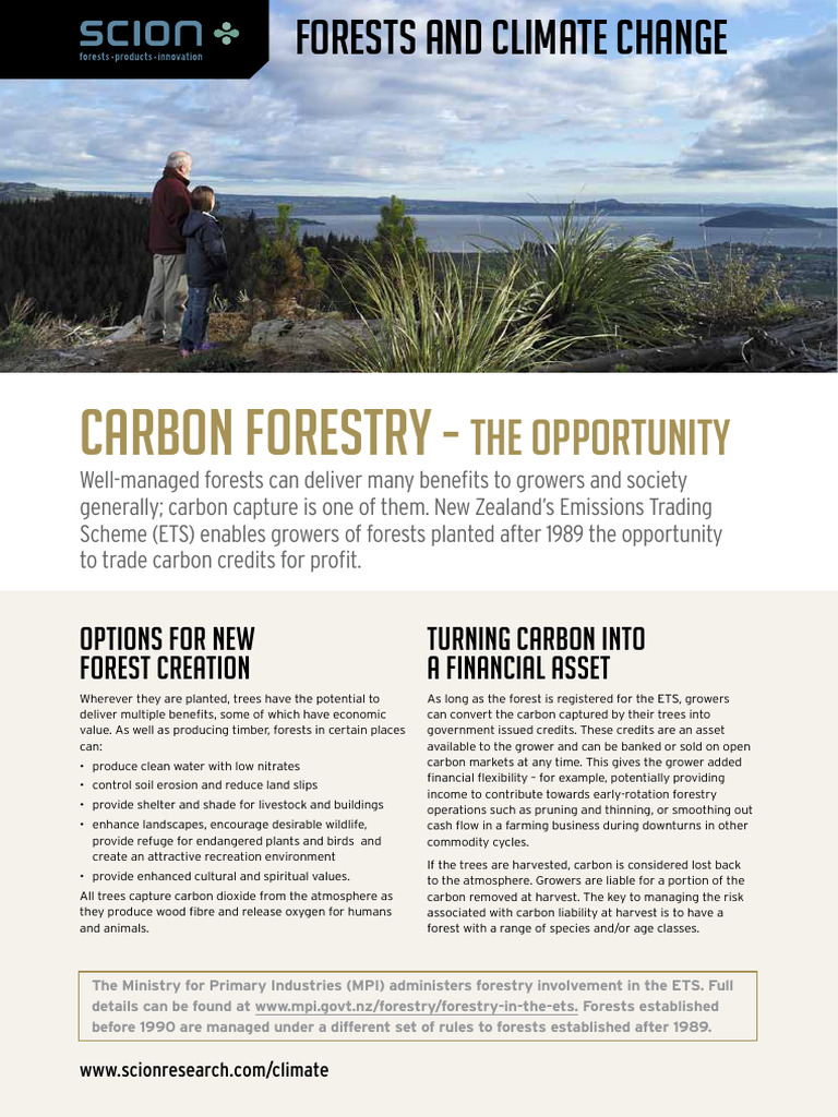 Climate Change Info Sheet - Carbon Forestry | PDF | Forests | Eucalyptus
