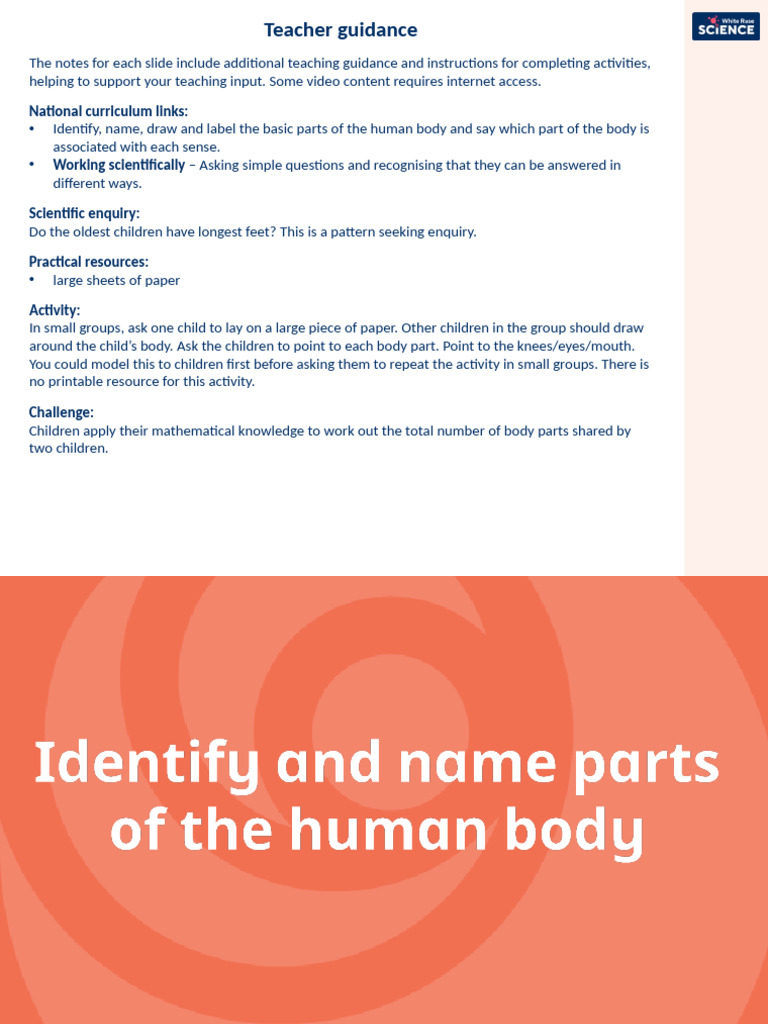 Body Parts Project for Grade 1 | PDF