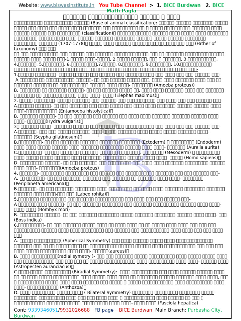 Animal Classification Final | PDF