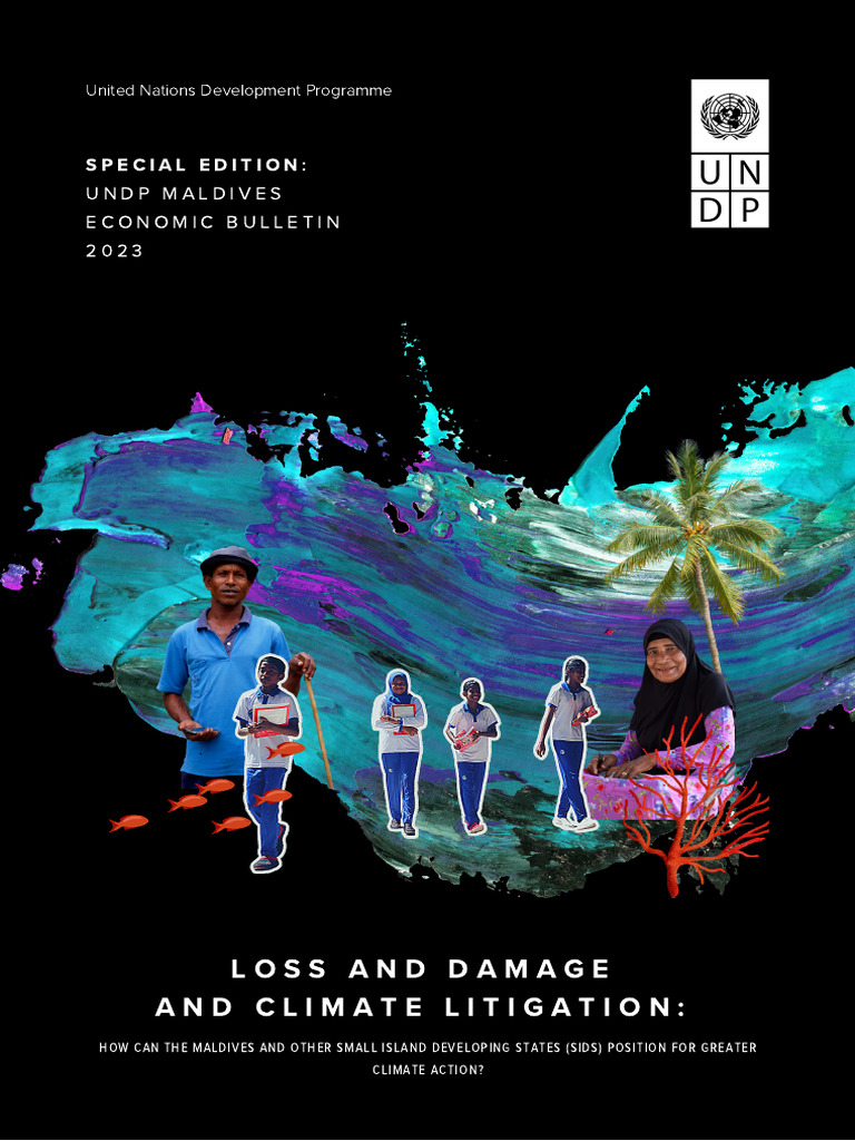 Maldives Climate Action Strategies 2023 | PDF | Climate Change ...