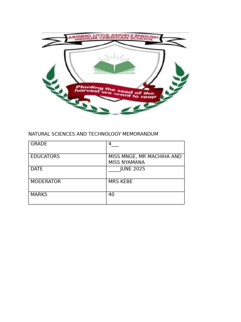 Grade 4 Natural Science Exam Memo | PDF