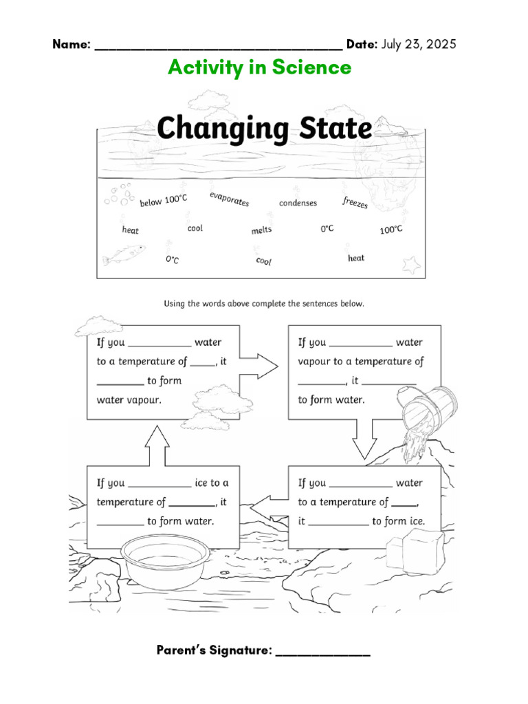 Science and Math Activity Worksheet | PDF