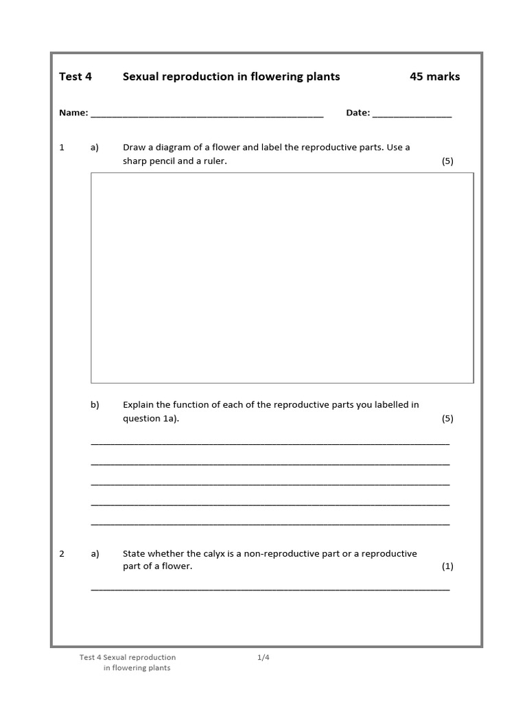 Test 4 Sexual Reproduction in Flowering Plants | PDF | Flowers | Seed
