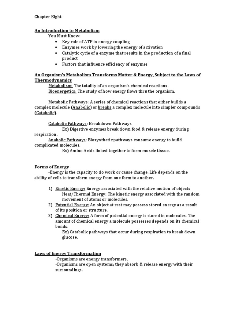 AP Bio Chapter 8 | PDF | Metabolic Pathway | Enzyme