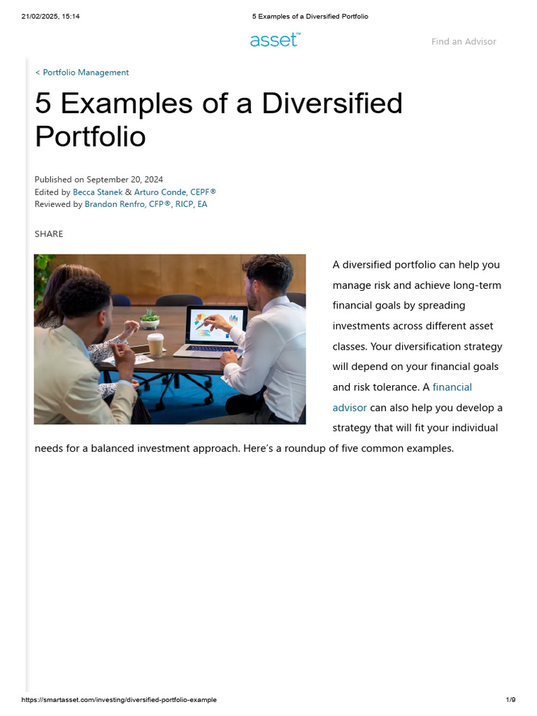 5 Diversified Portfolio Examples | PDF