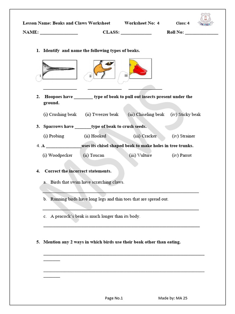 Beaks and Claws 25-26 Worksheet | PDF