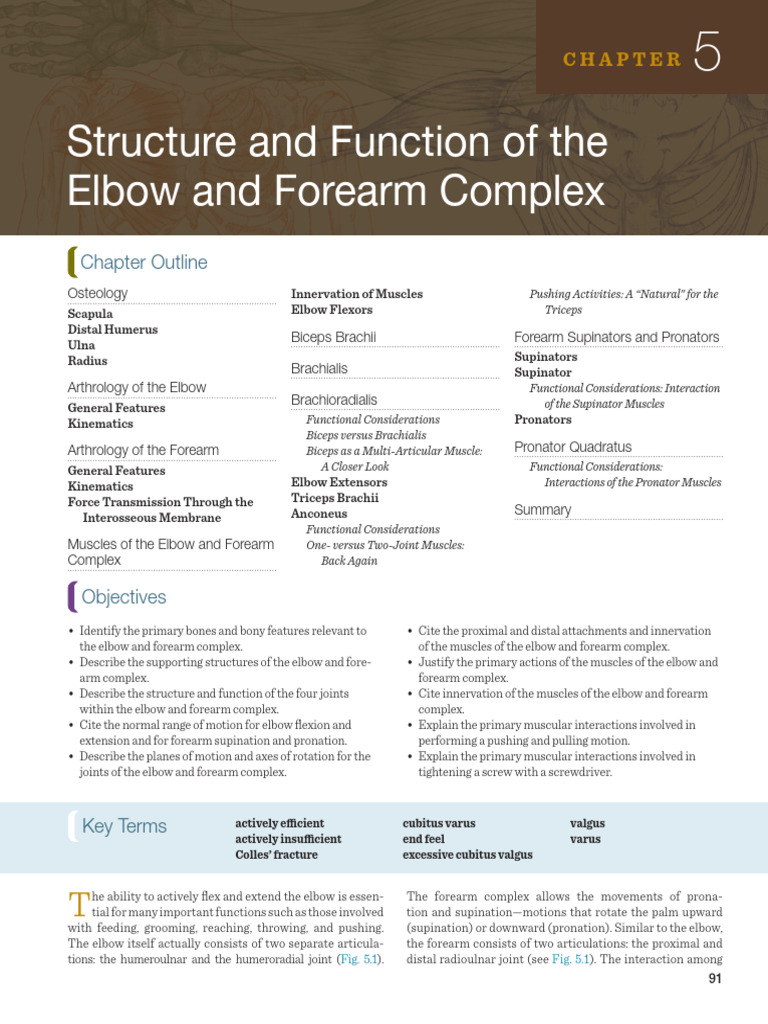 Chapter 5 Structure and Function of 2019 Essentials of Kinesiology For ...