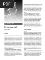 Íleo Meconial en Neonatos | PDF | Tracto gastrointestinal | Intestino ...