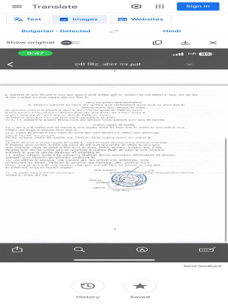 Google Translate | PDF