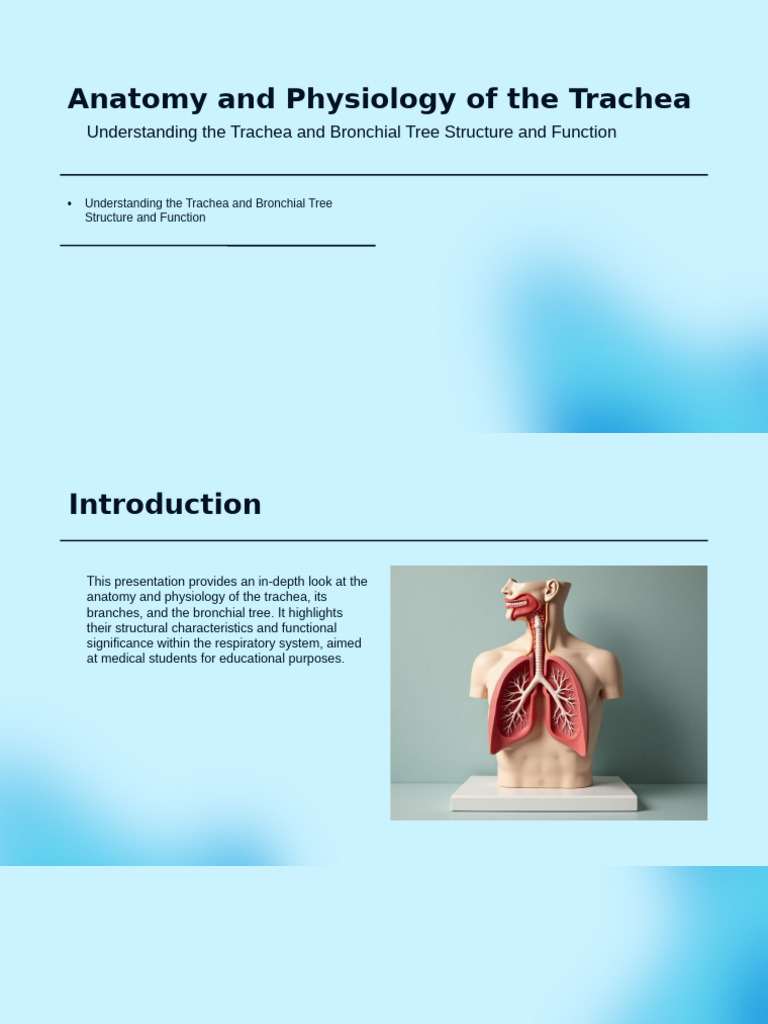 Anatomy and Physiology of the Trachea | PDF | Respiratory Tract | Lung