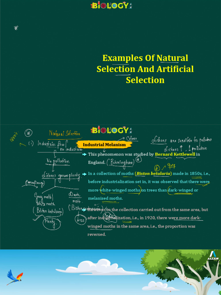 Natural vs. Artificial Selection Explained | PDF | Biology