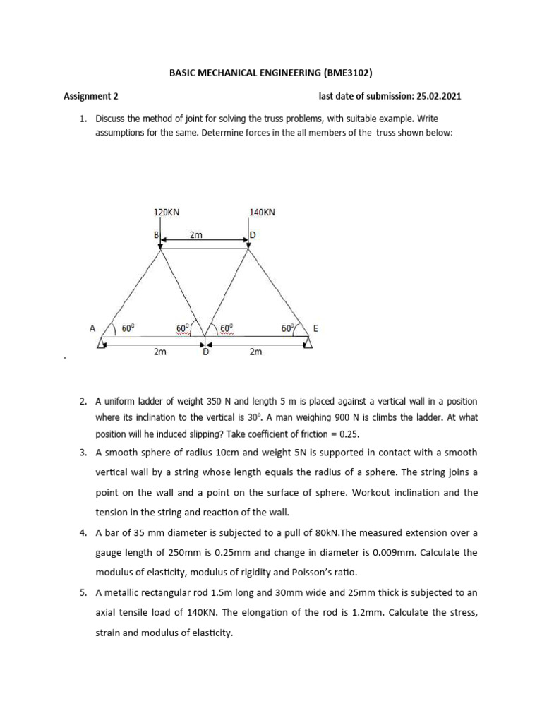 BME3102 Assignment 2 Overview | PDF