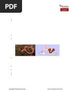 Understanding Animal Coverings | PDF | Feather | Skin