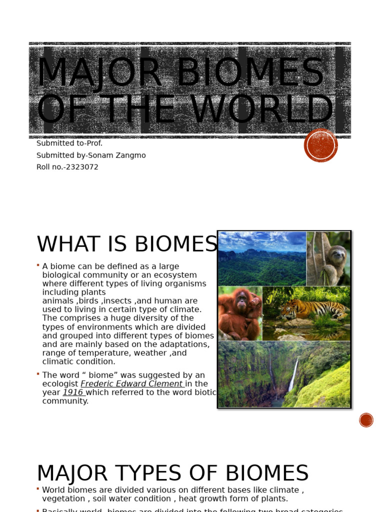 Major Biomes of The World (2323072) | PDF | Grassland | Forests