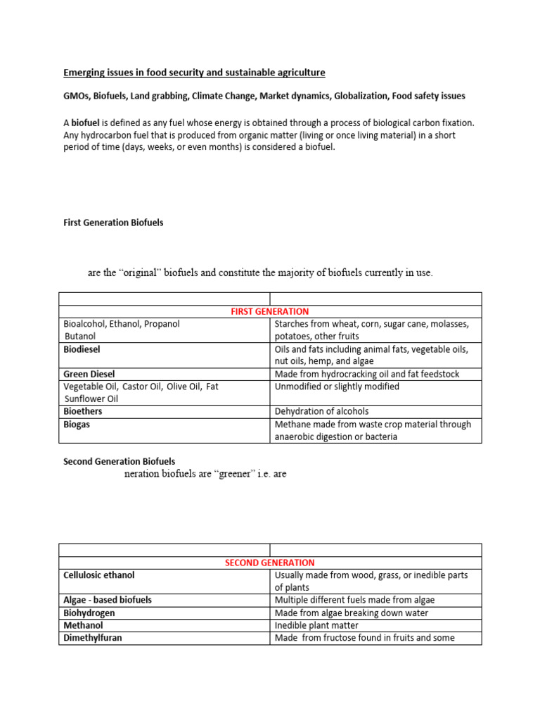 Biofuels Impact on Food Security Issues | PDF | Biofuel | Biodiesel