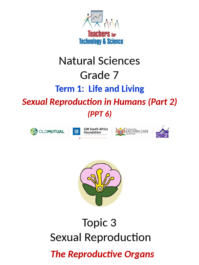 Sexual Reproduction in Humans: Grade 7 | PDF | Reproductive System ...