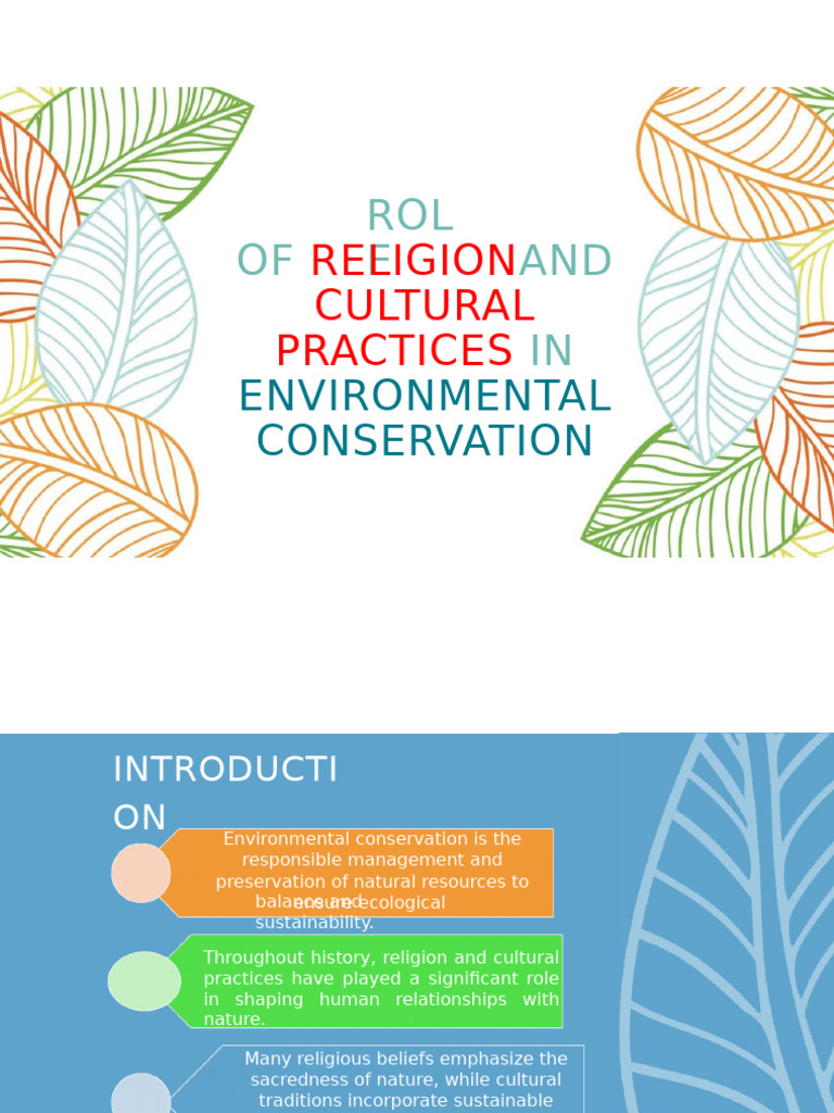 EVS PRESENTATION - PDF - 20250404 - 123554 - 0000.pdf - 20250728 ...