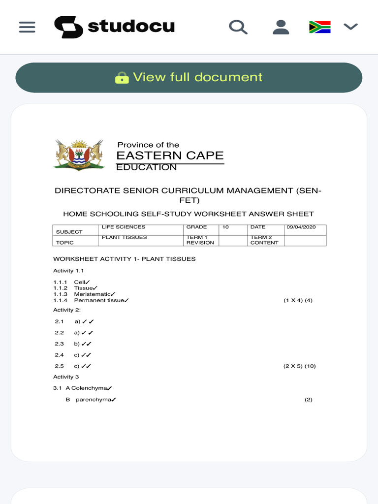 Life Sciences Grade 10 Worksheet 1 Plant Tissues Answer Sheet ...