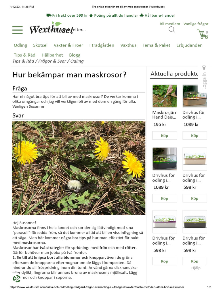 Tre Enkla Steg För Att Bli Av Med Maskrosor - Wexthuset | PDF