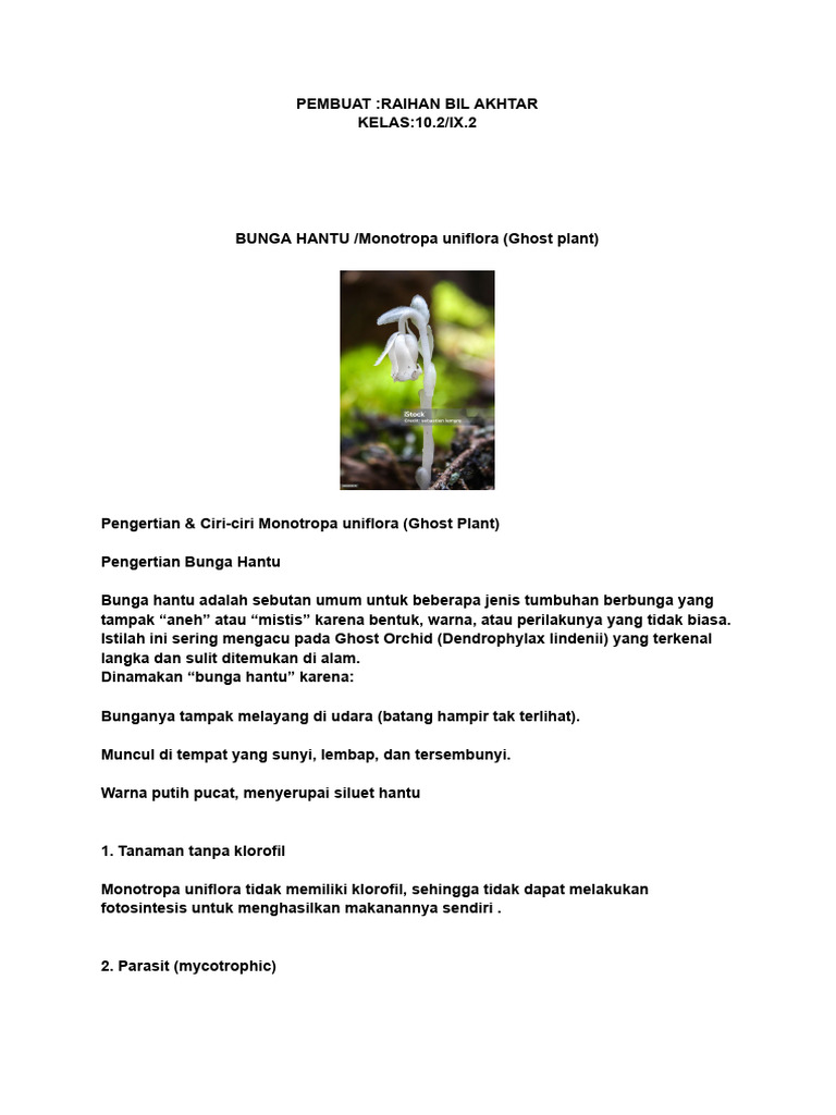 BUNGA HANTU -Monotropa Uniflora (Ghost Plant) (1) | PDF