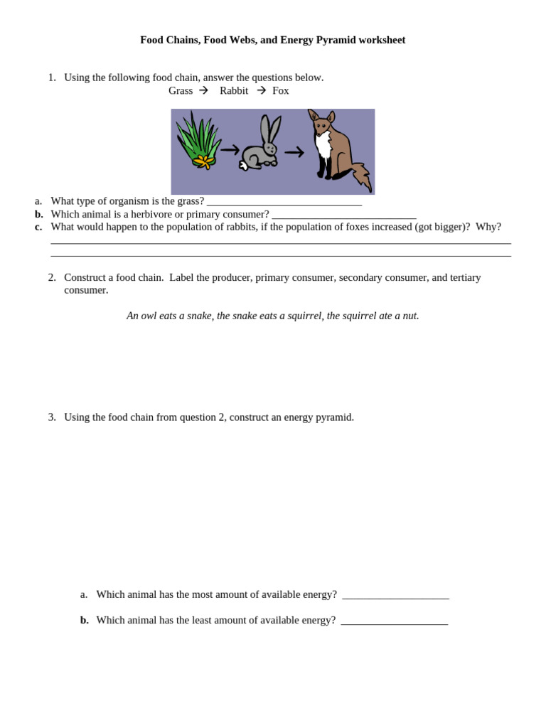 Food Chains Food Web and Energy Pyramid Worksheet Original | PDF | Food ...