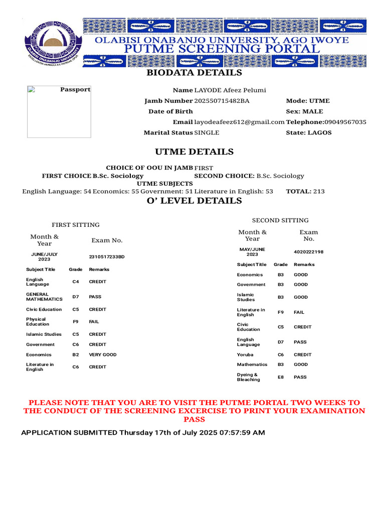 Layode Afeez Pelumi Biodata Summary | PDF