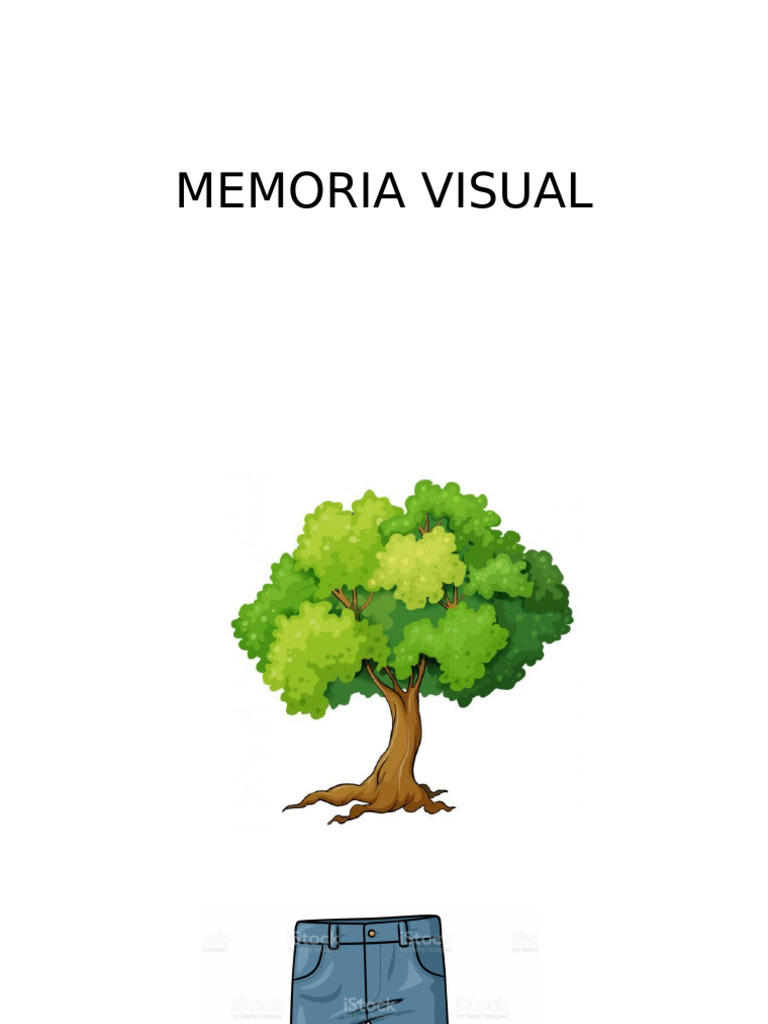Memoria Visual | PDF