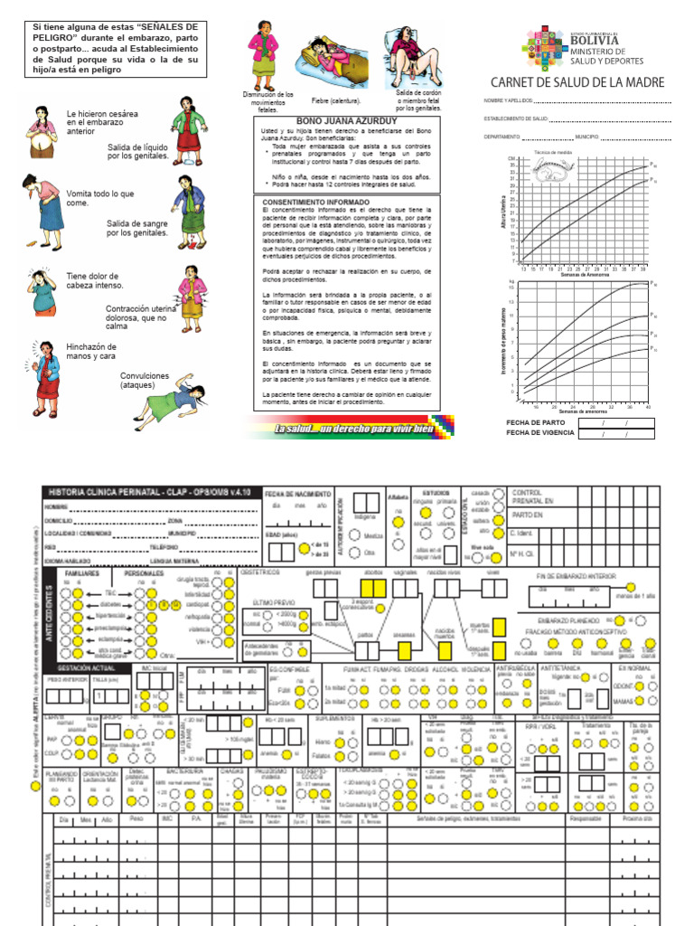 Carnet Prenatal para Imprimir | PDF | Parto | El embarazo