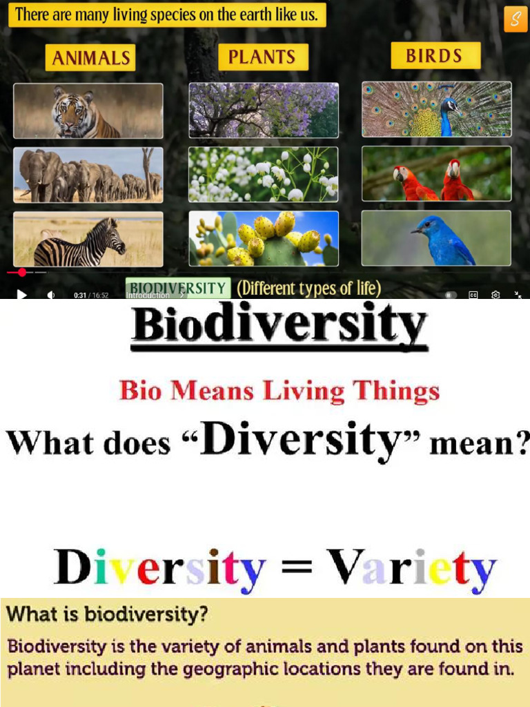 WILDLIFE | PDF