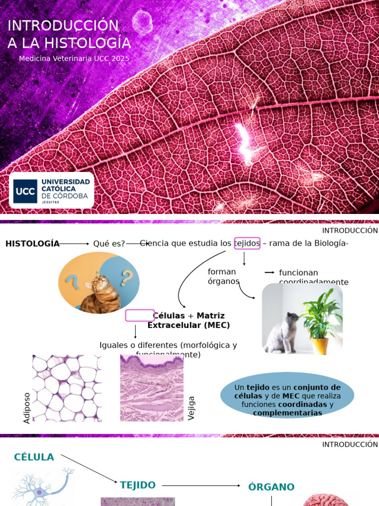 Introducción A La Histología 2025 | PDF | Tejido (biología) | La matriz extracelular