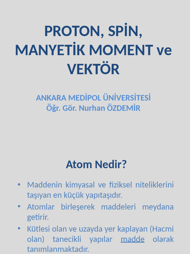HAFTA Proton, Spin, Manyetik Moment Ve Vektör | PDF