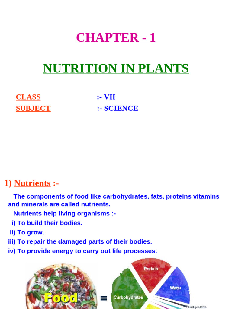 Plant Nutrition and Its Processes | PDF | Nutrition | Diet & Nutrition