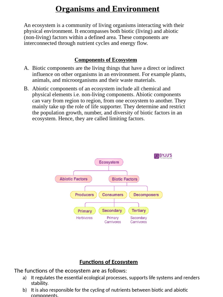 Ecosystem Models and Interactions | PDF | Ecosystem | Food Web