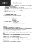 Male and Female Rat Reproductive Anatomy | PDF