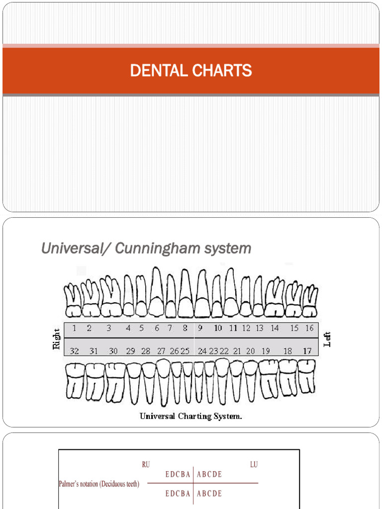 Haderup Dental Charting Overview | PDF