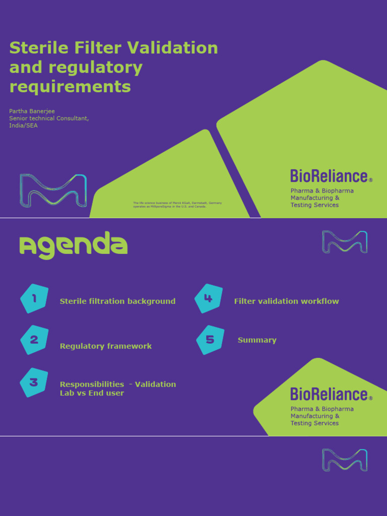 Validation Version 2 | PDF | Verification And Validation | Sterilization (Microbiology)